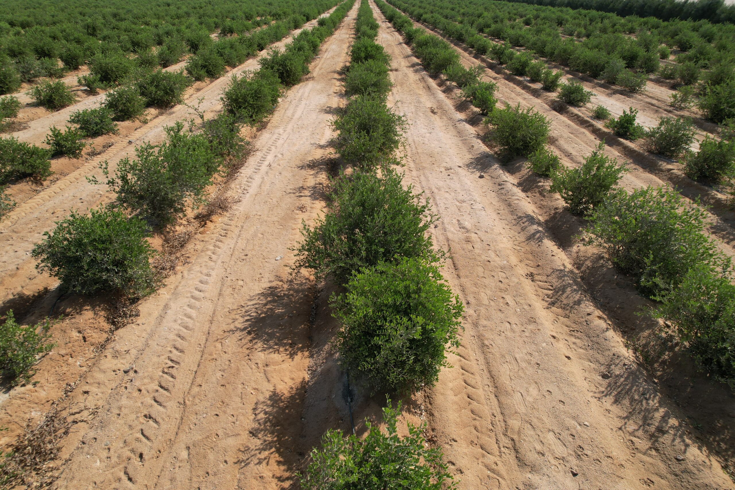Environmental Solutions - MK-Group