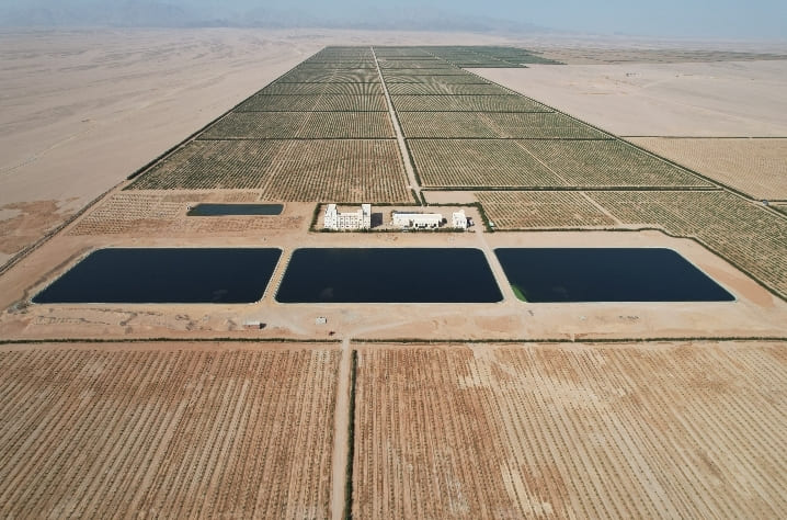 Upper Egypt Development Authority Project in Hurghada, in cooperation ...